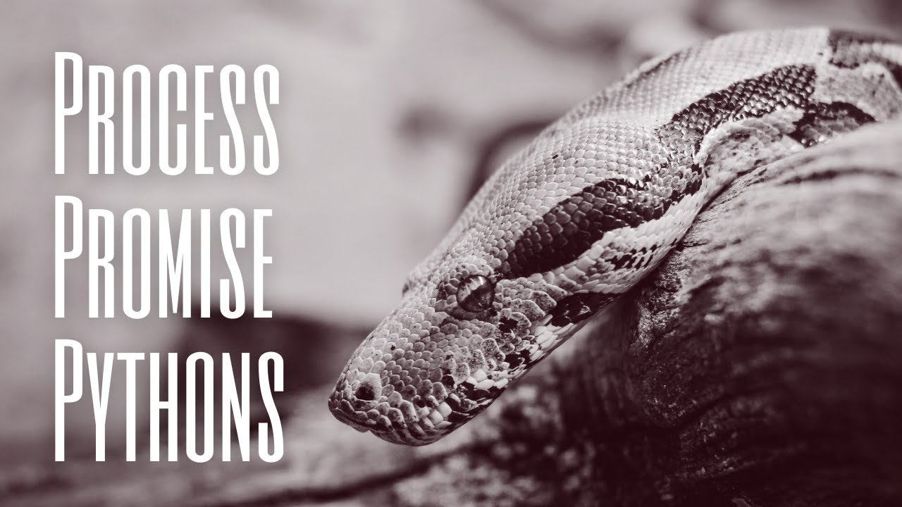 Process, Promise and Pythons // Sean Whaley - YouTube