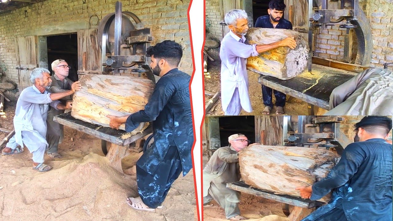 Extremely dangerous wood log sawing | Hardworkers working hard on ara ...