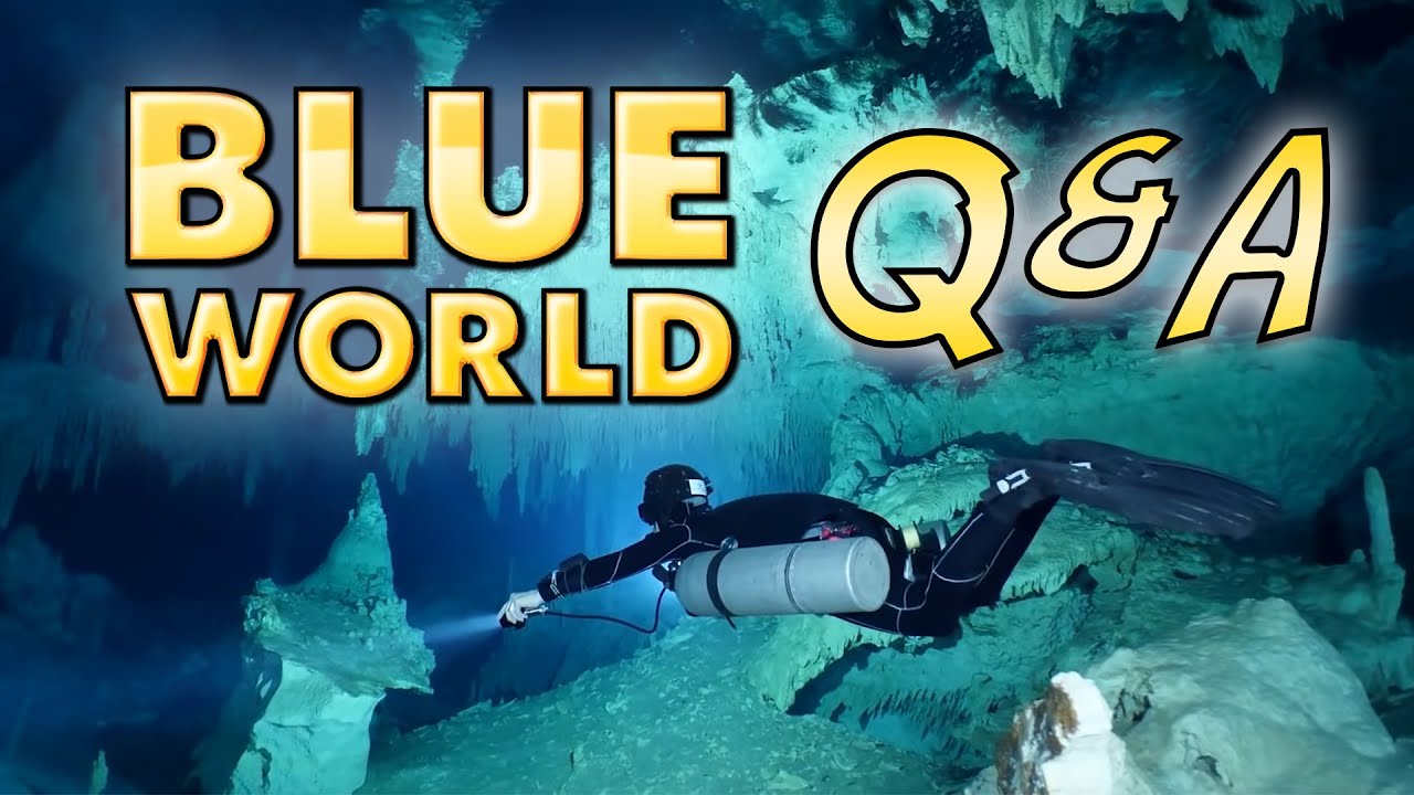 LIVE Q&A with Blue World (01/08/2022) - YouTube