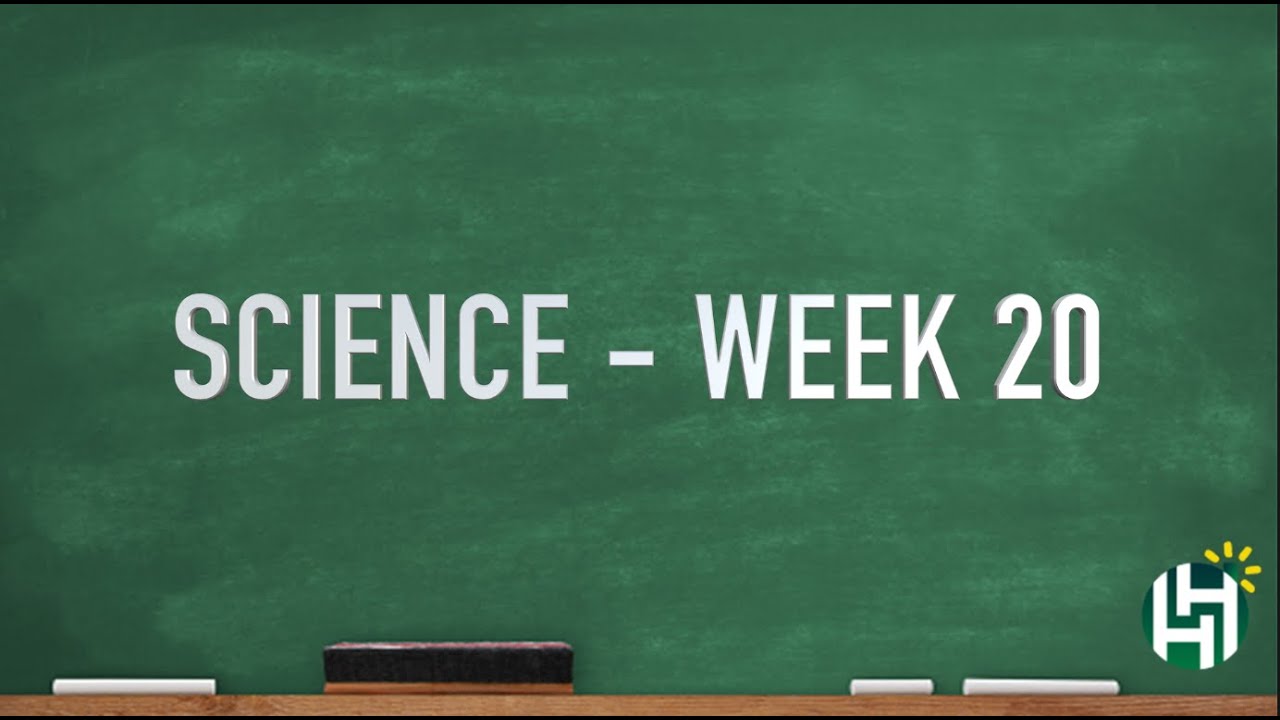CC Cycle 3 Week 20 Science - YouTube
