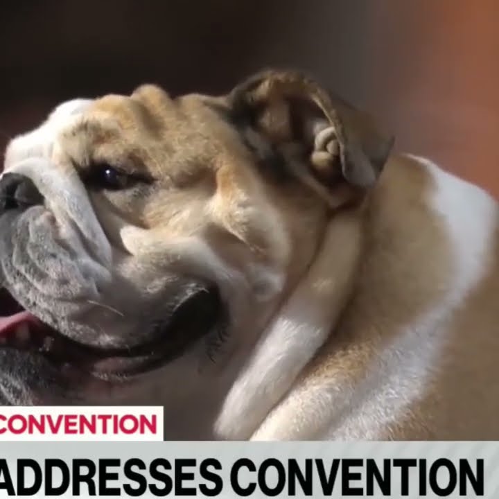 Baby Dog gives keynote address at the Republican National Convention ...