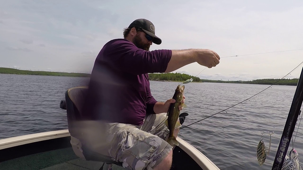 Jeff 17 inch walleye on a crank bait - YouTube