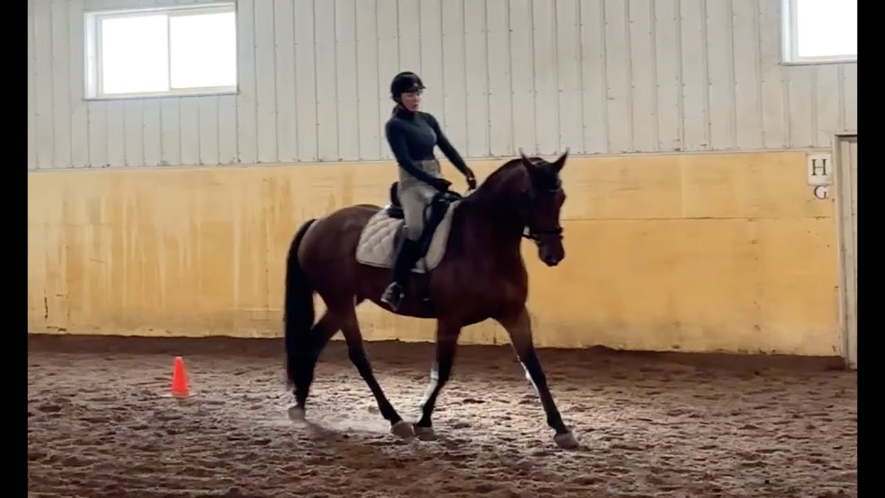 Zeta Training - October 2023 - YouTube