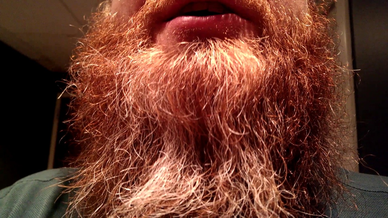 Massachusetts Prepper Bad Ass Beard Care VR - YouTube