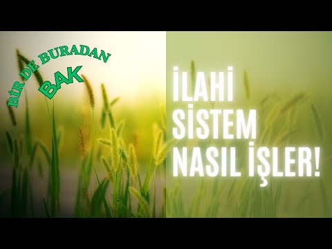 İLAHİ SİSTEM NASIL İŞLİYOR SENCE?