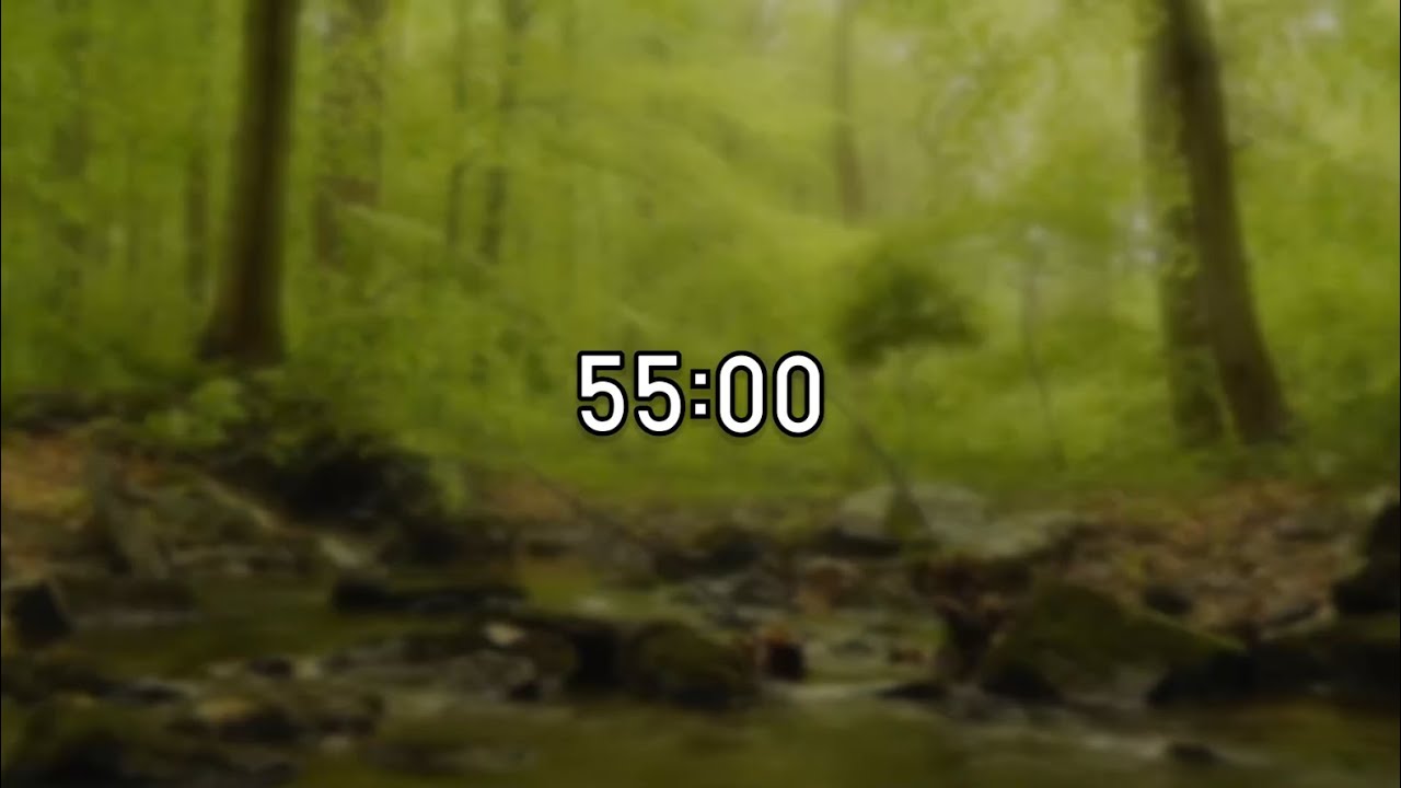 55 Minute Timer with Nature Sounds - Countdown Timer - YouTube