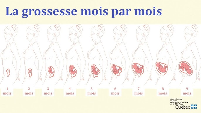 Photo Mois De Grossesse Ardoise Chiffre Dessin Ventre 50 Off