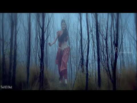 Tamil love cut songs what's app status