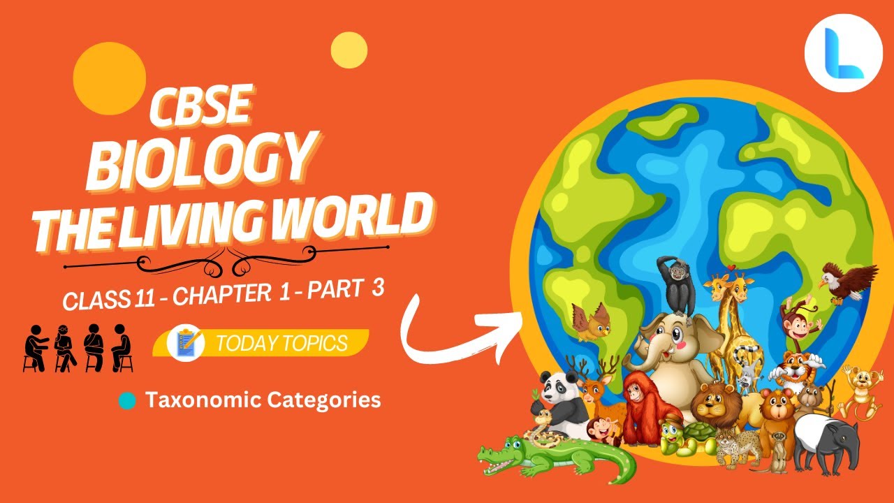 Taxonomic Categories Class 11 | Chapter 1 | Part 3 | Biology ...