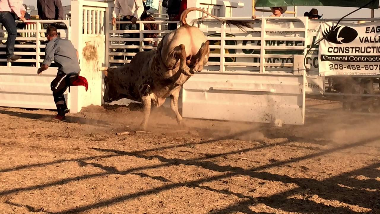 Fruitland Fire Dept. Bull Riding 2015 - YouTube
