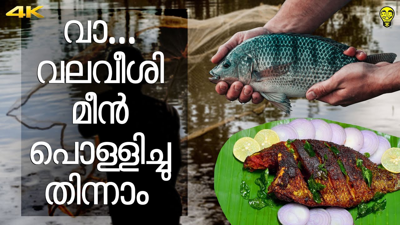 വാ, 🐟മീൻപിടിച്ചു പൊള്ളിച്ചു തിന്നാം!! 🐠Fish Farm Harvest & Grilling ...