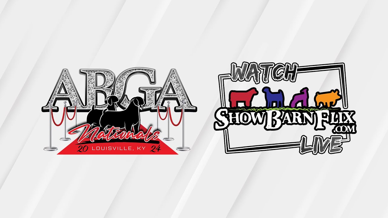 JABGA Percentage Does - ABGA/JABGA National Show 2024 - YouTube