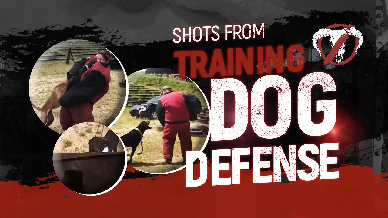 Dog Attack Self-Defense - YouTube
