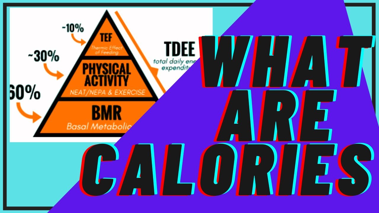 🥑 What Are Calories And Where Do They Come From? - YouTube