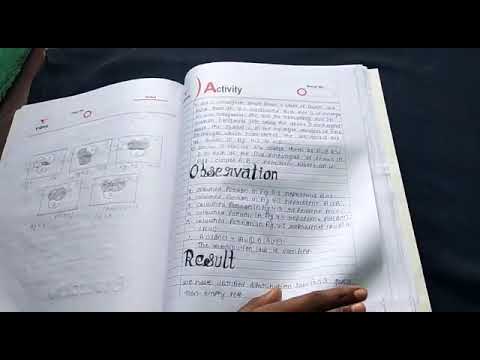 HOW TO CREATE A MATHEMATICS LAB MANUAL CLASS 11 - YouTube