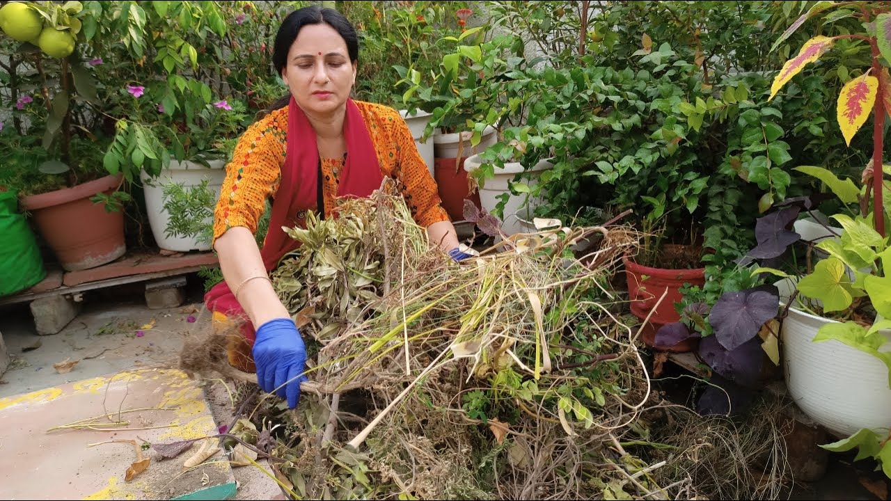 Make best soil with Garden waste | Garden waste management | Rashmi's ...