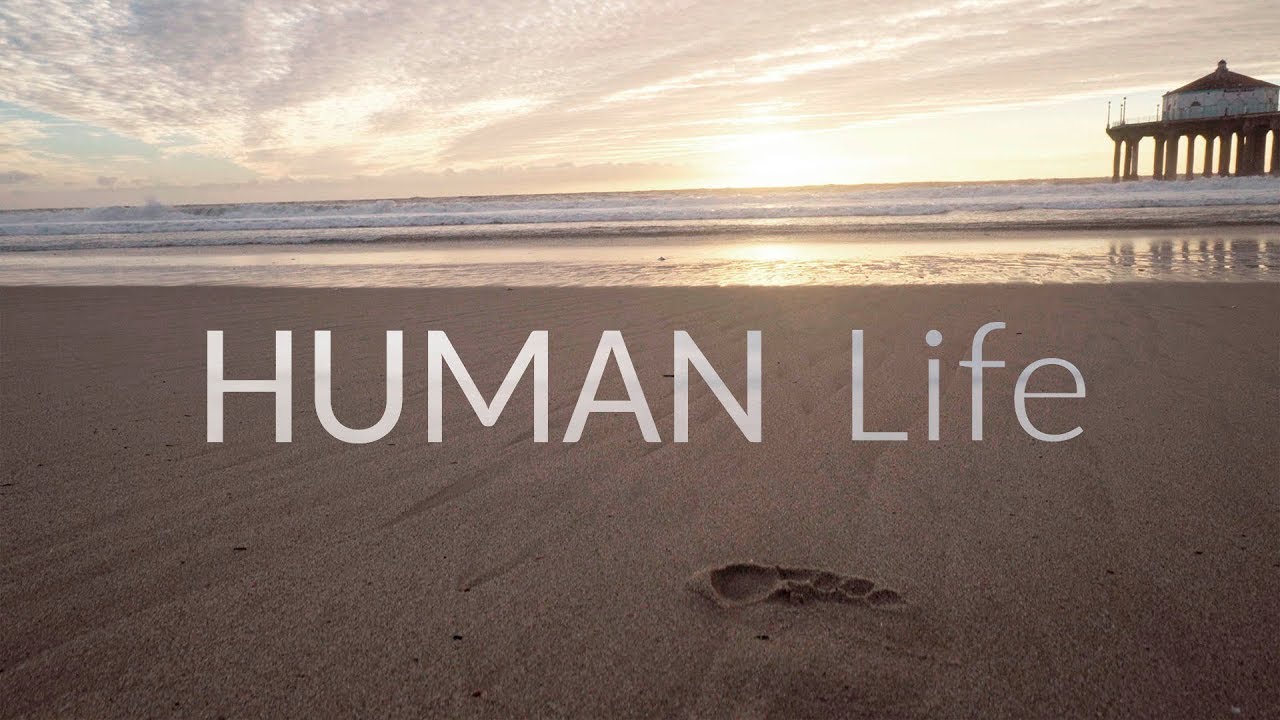 Human Life - Trailer 1 - YouTube