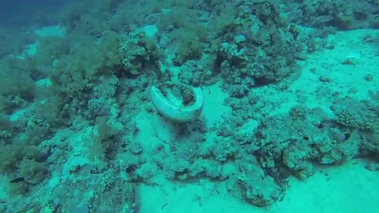 The wreckage of the MV Jolanda, Ras Mohammed, Red Sea - YouTube