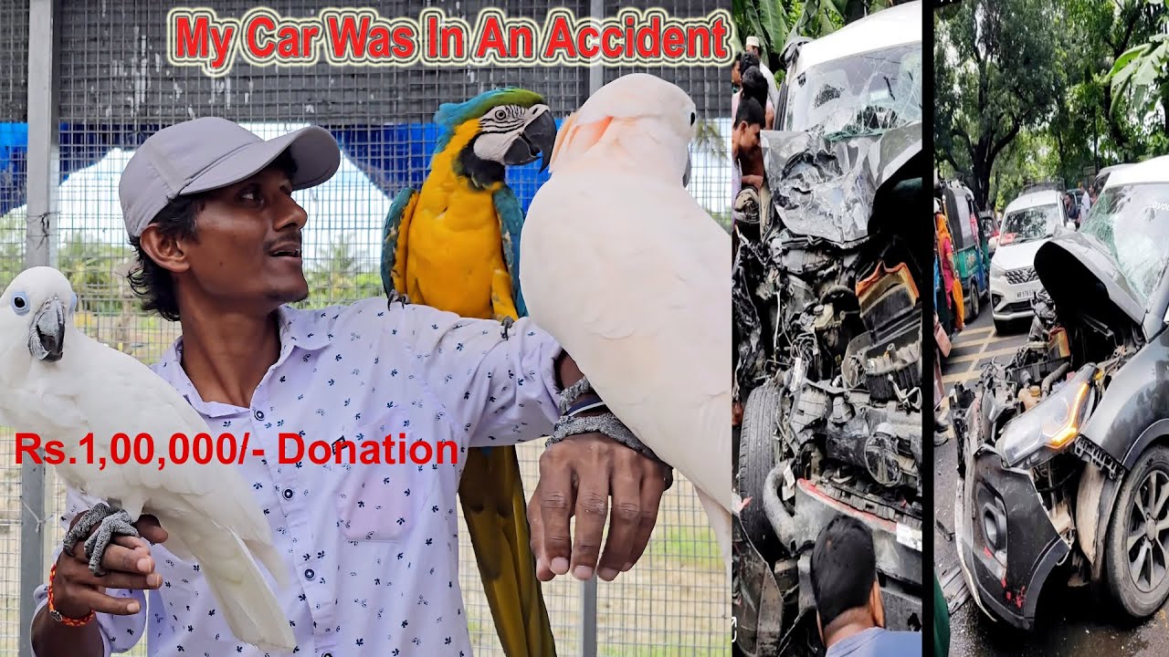 Donation Rs.-1,00,000 Because of Parrots / My car was completely ...