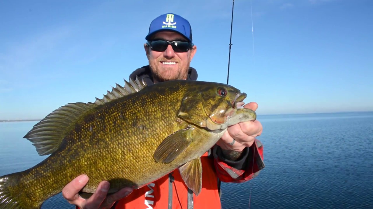 Biovex Padas - The Blade Bait - YouTube