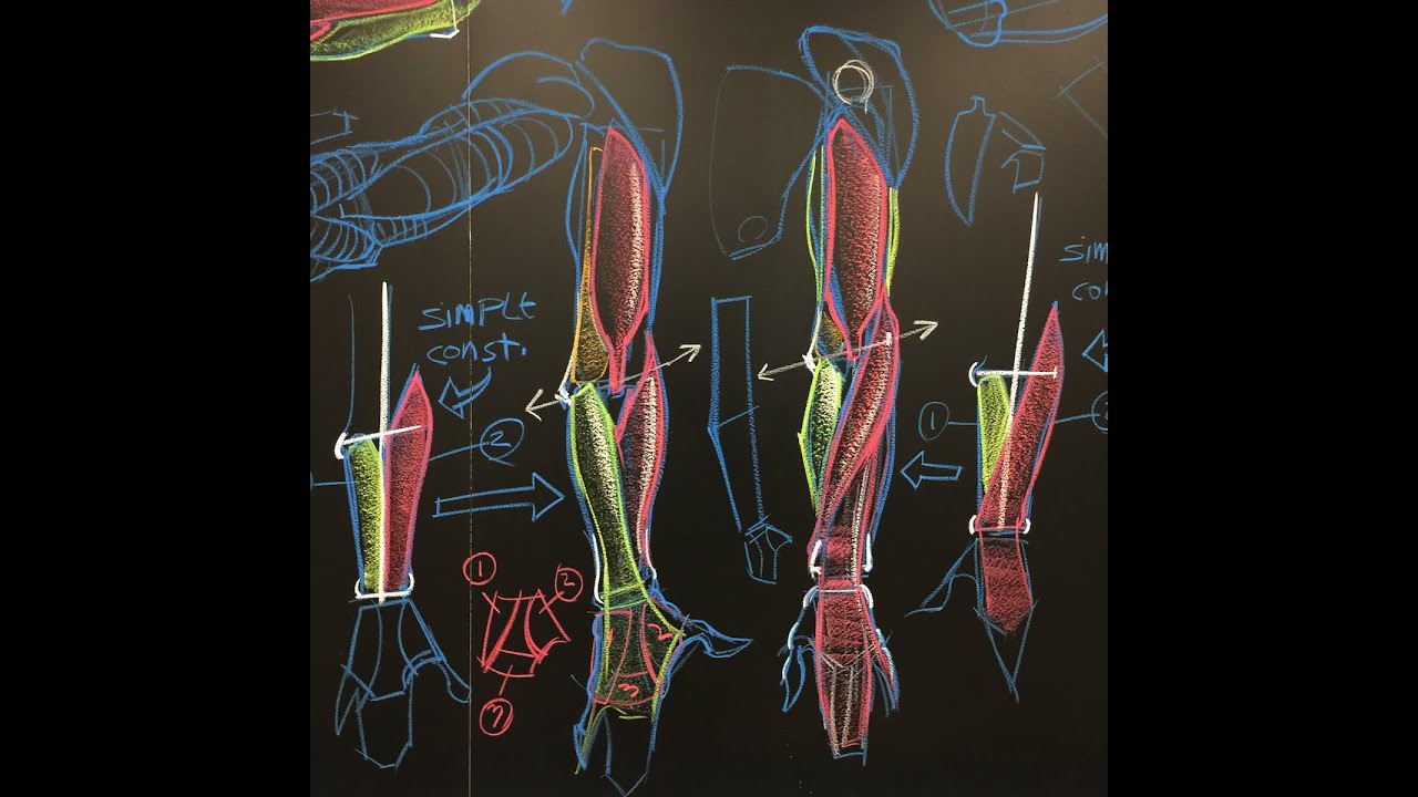 Will Weston Anatomy Drawings - YouTube