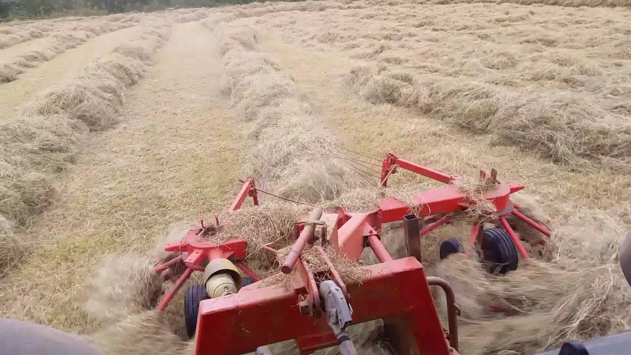 Rowing in hay at Hughes farm 2016 Wexford - YouTube
