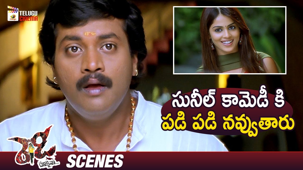 Sunil Hilarious Comedy Scene | Ready Telugu Movie | Ram Pothineni | Genelia | Brahmanandam - YouTube