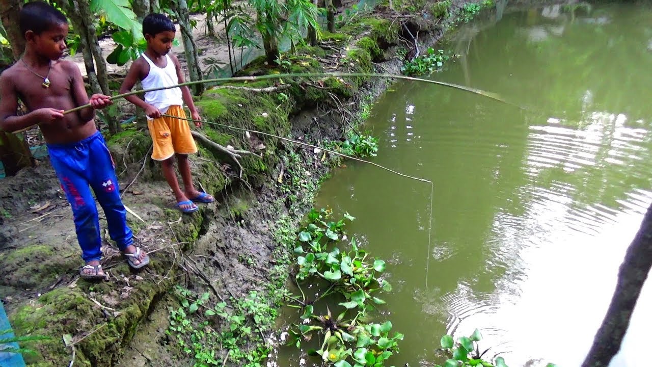 Best Live Fishing Video (Part-32) - YouTube