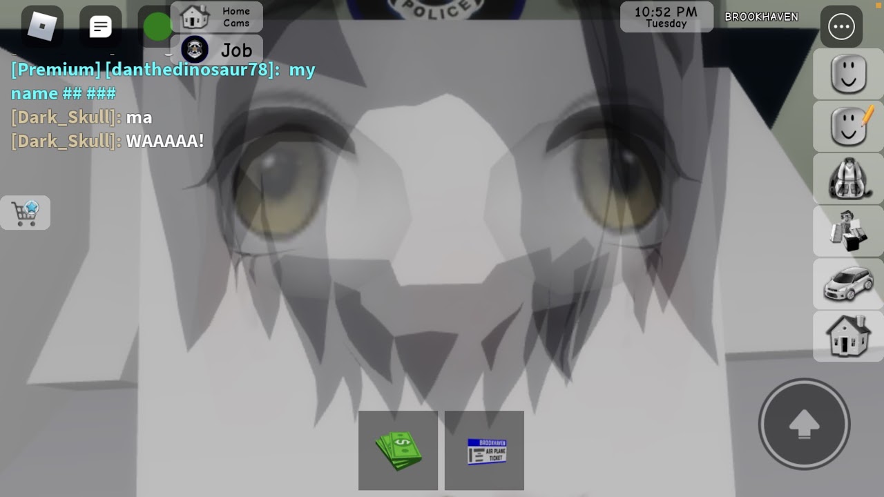 random_guy Live Stream - YouTube