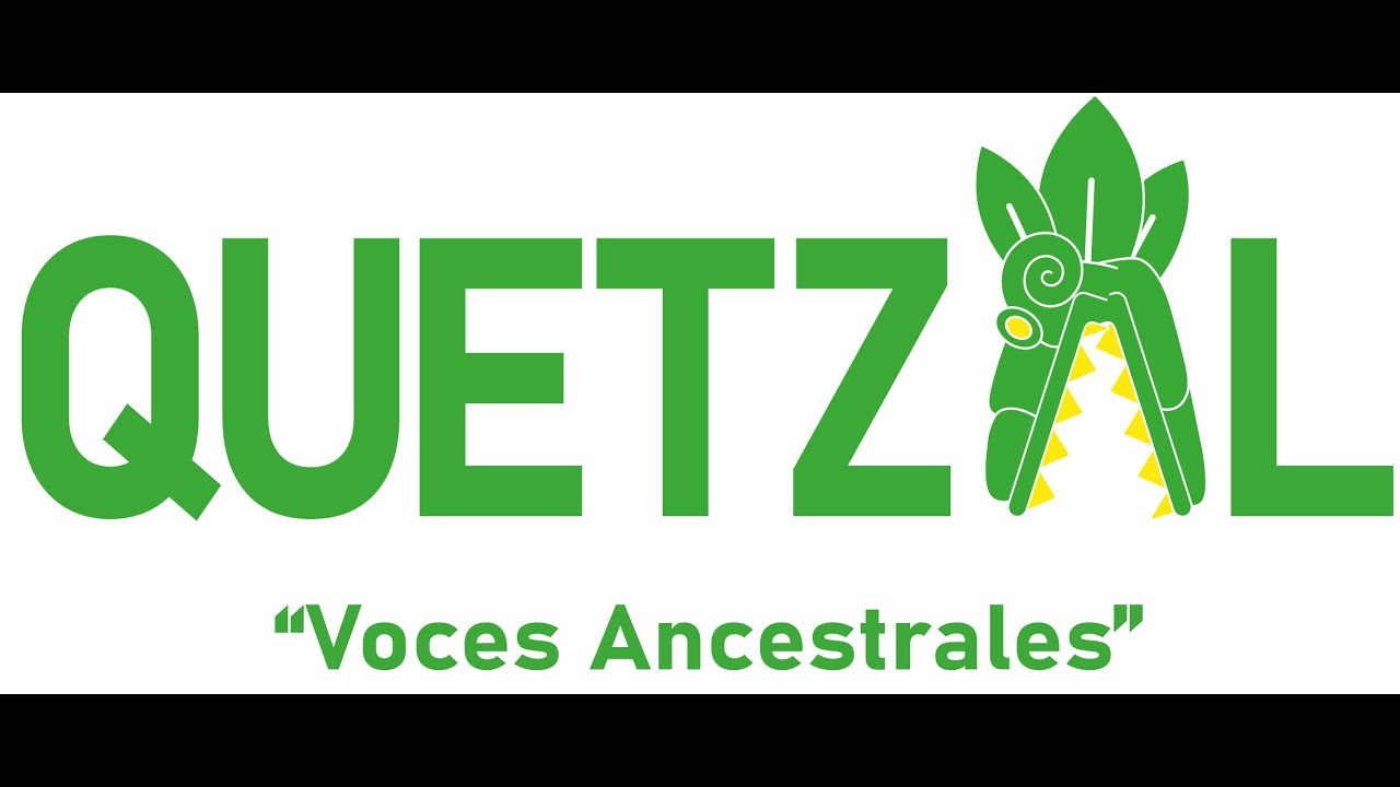 Branding de TV para Quetzal - Brian Melendez - YouTube