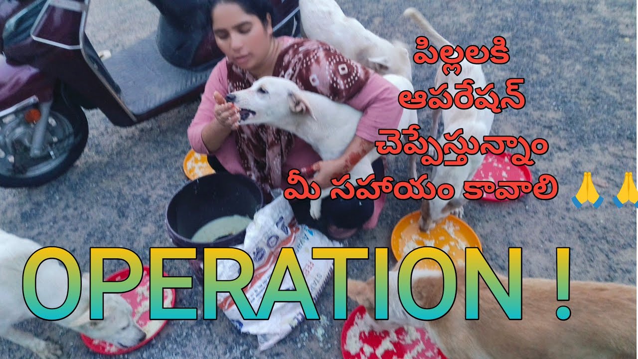 పిల్లలకి ఆపరేషన్ చెపించల్లి మీ సహాయం కావాలి 🐕🐕7993650049🙏🙏 - YouTube