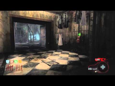 Kino Der Toten Round 9 | All 4 perks | Ray gun | 9/10 doors opened | Erase us
