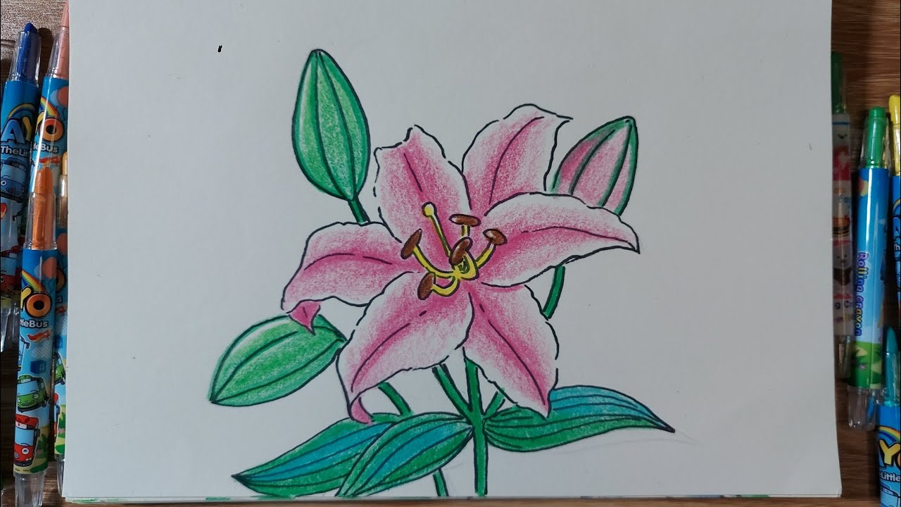 Cách vẽ hoa Ly đơn giản / Hướng dẫn vẽ hoa Lily / Dạy vẽ hoa đơn giản # ...