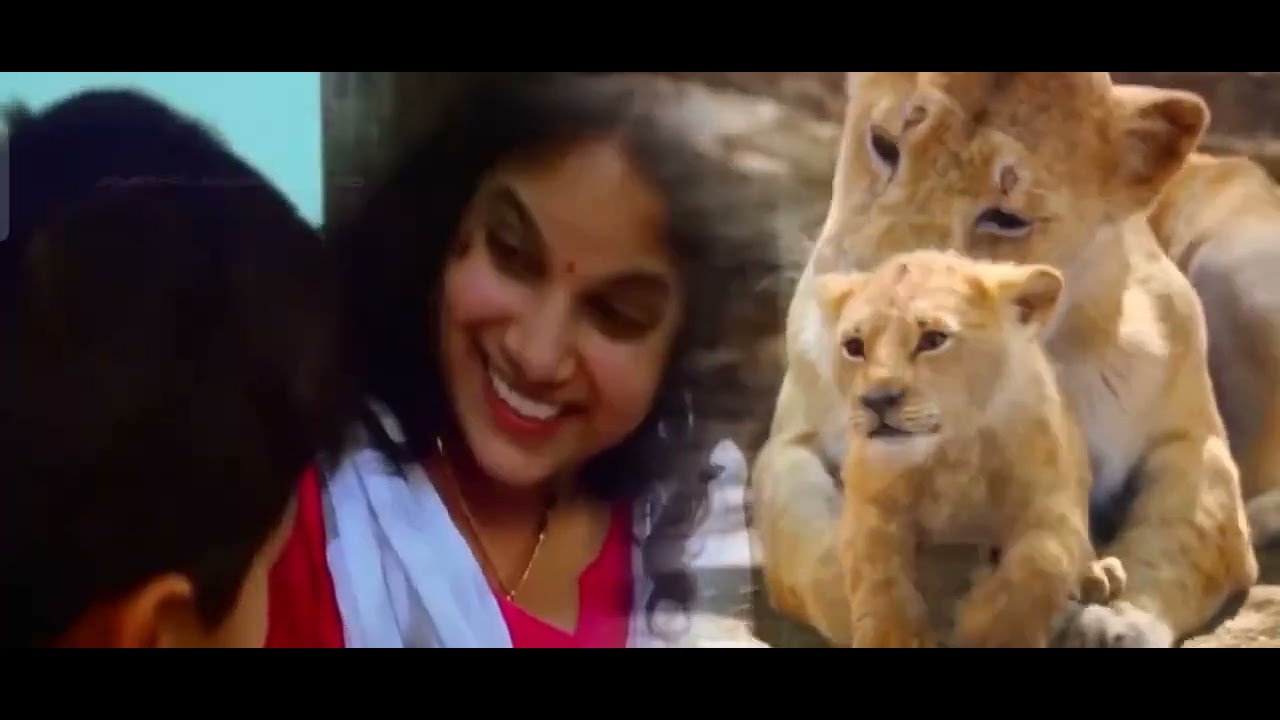 jayashali kannada song ಜೀವರಾಶಿಗಳ ಬದುಕು ನಿನಗಾಗಿಯೇ - YouTube