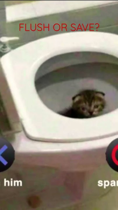 FLUSH OR SAVE/ like and comment save to save and if flush say FLUSH in ...