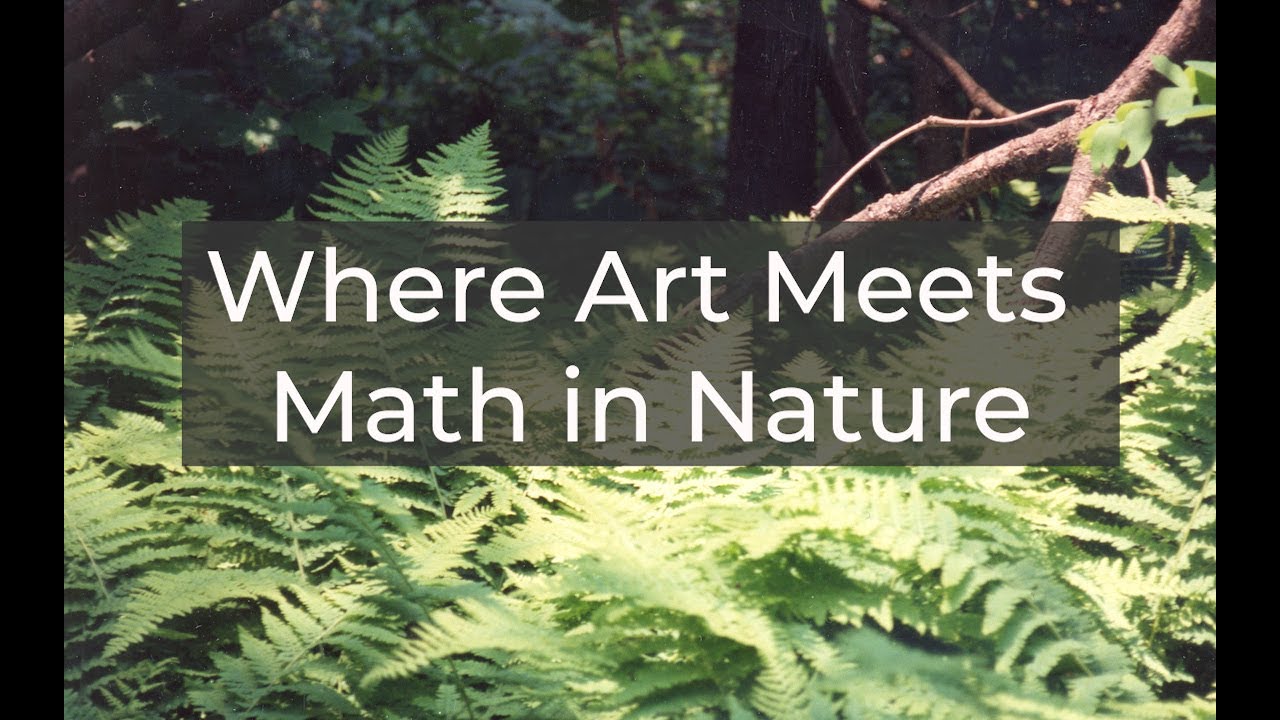 Math Nature Quotes Ed Venture: Where Art Meets Math In Nature