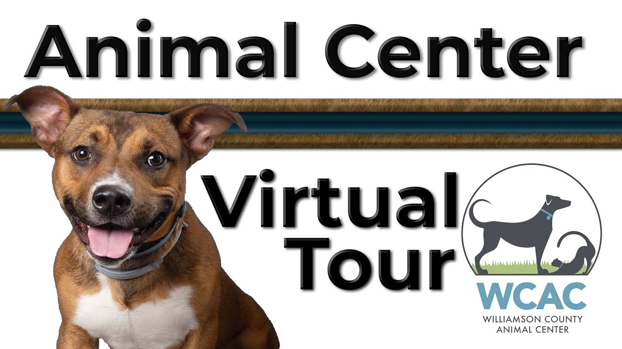 Animal Center Virtual Tour - December 8, 2023 - YouTube