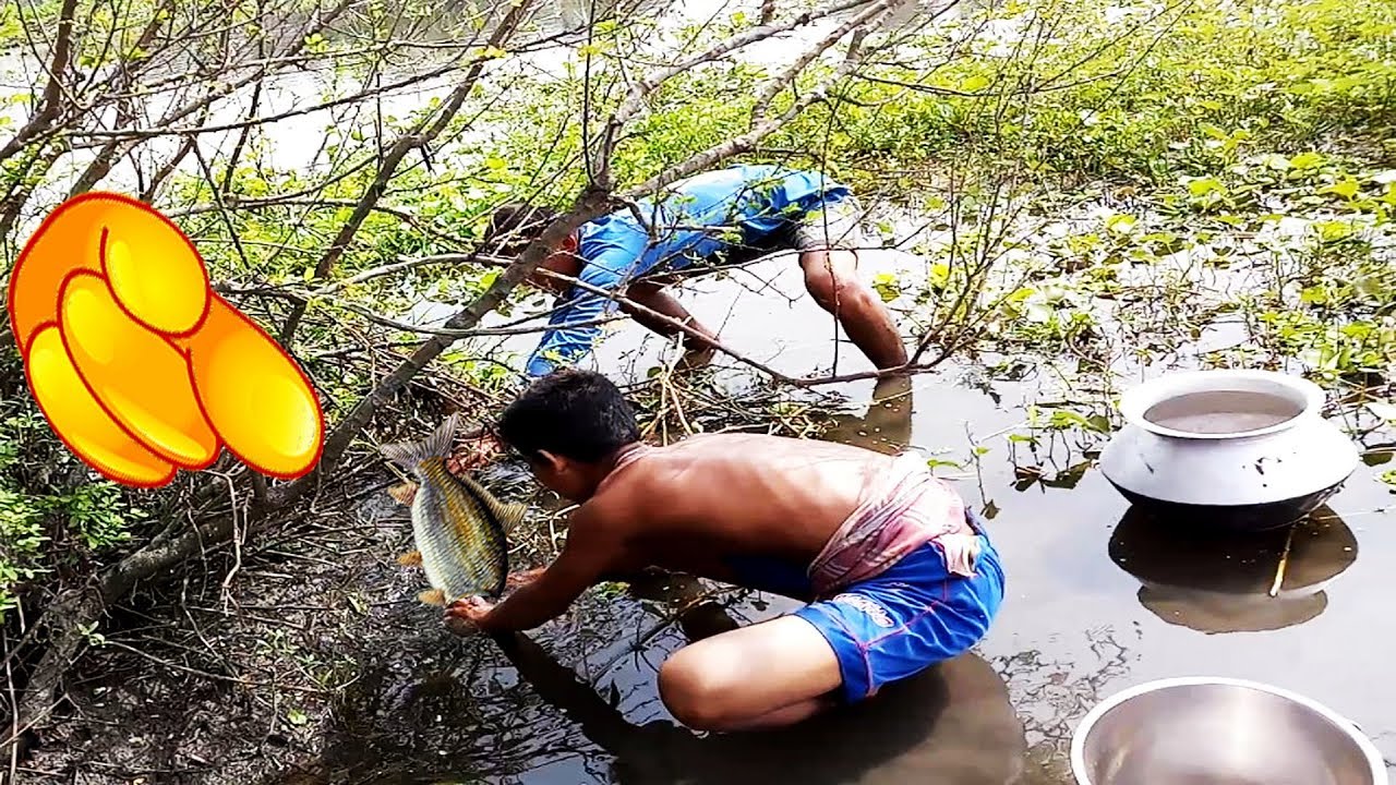 Best Fishing video🐟🐟 hole Fishing,how to catch fish,Deep Sea hook & net ...