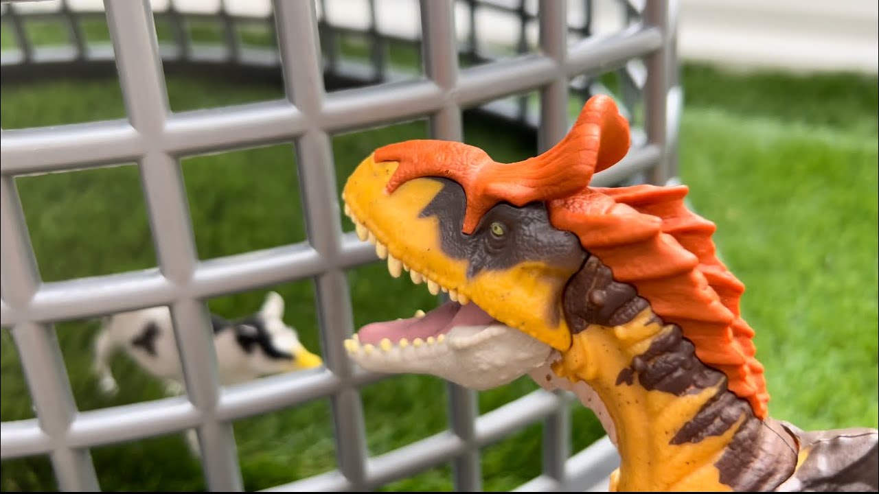 Dinosaur Hunting Movie | Videos for Kids - YouTube