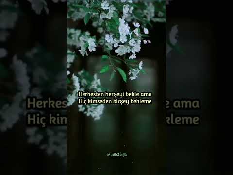 HERKESTEN HERŞEYİ BEKLE AMA... WhatsApp Durum Videoları Duygusal Videolar