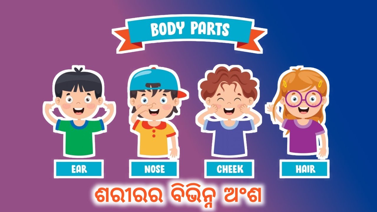 Human Body Parts For Kids In Odia🚶🏻 || Hand Ear 👂🏻 Leg Foot Eye Mouth ...