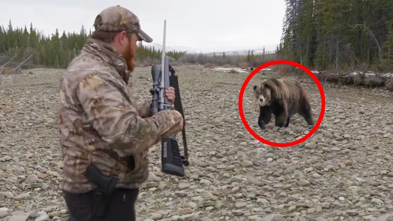 12 Times Hunters Messed With The Wrong Animals (Part 6) - YouTube