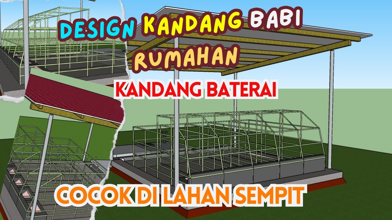 Design Kandang Babi modern || Cocok dilahan sempit #Pavianchanel - YouTube