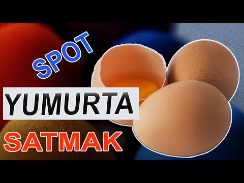 SPOT YUMURTA SATARAK PARA KAZANMAK- İş Fikirleri