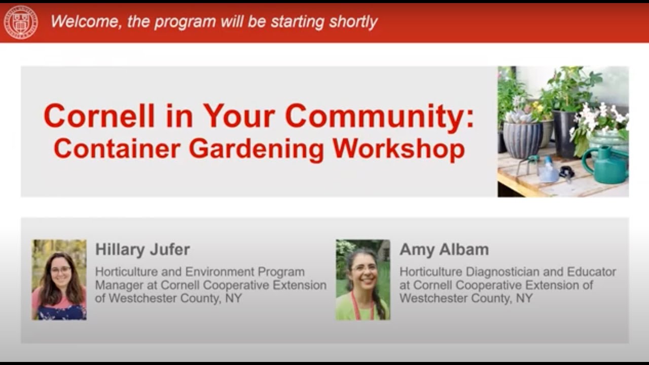 Container Gardening Workshop with Cornell Cooperative Extension - YouTube