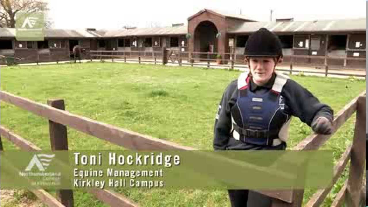 Equine Management - Northumberland College Kirkley Hall Campus - YouTube