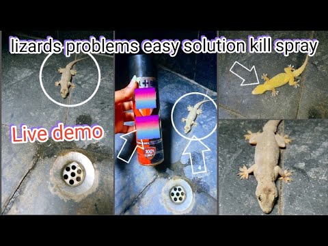 monster lizards problem kill solution spray new idea Hindi - YouTube