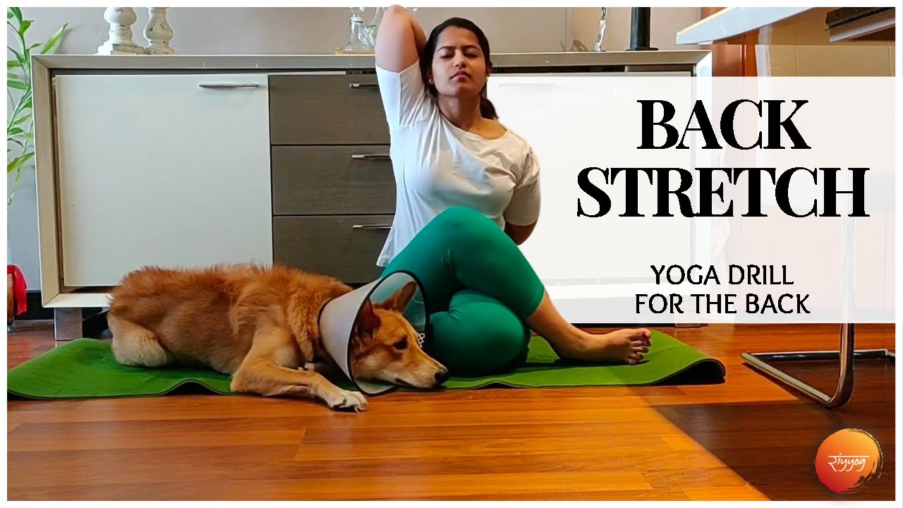 Yoga drill for the back l yoga to stretch your back | Yoga for Back ...