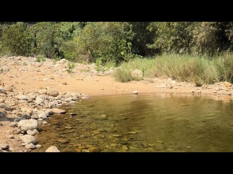 Kalikesam - A must visit heaven of Kanyakumari || காளிகேசம் தாய் கோவில் ...