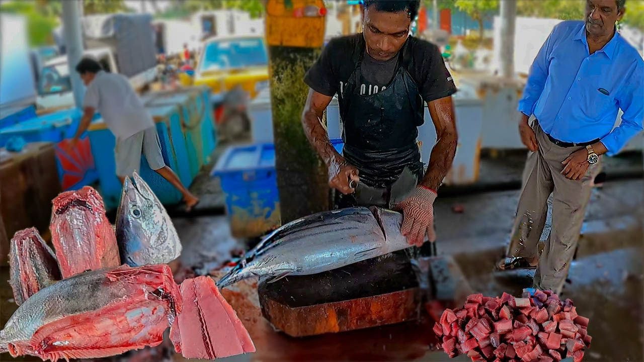 Fine Cuts: The Art of Tuna Preparation | Fish cutting - YouTube